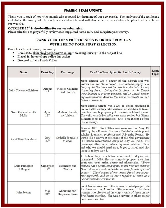 Naming Team Update Naming Survey St John Neumann Parish Homewood Il